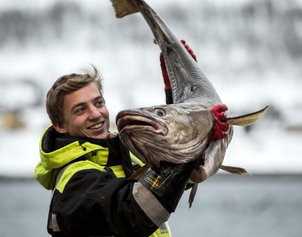 Norwegian Seafood - The Magic and The Myths [ Norwegian Seafood ...