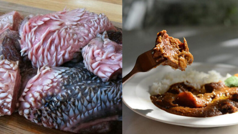 Bangkok Blogger Gets Lippy with a New Range of Beef Lip Stews